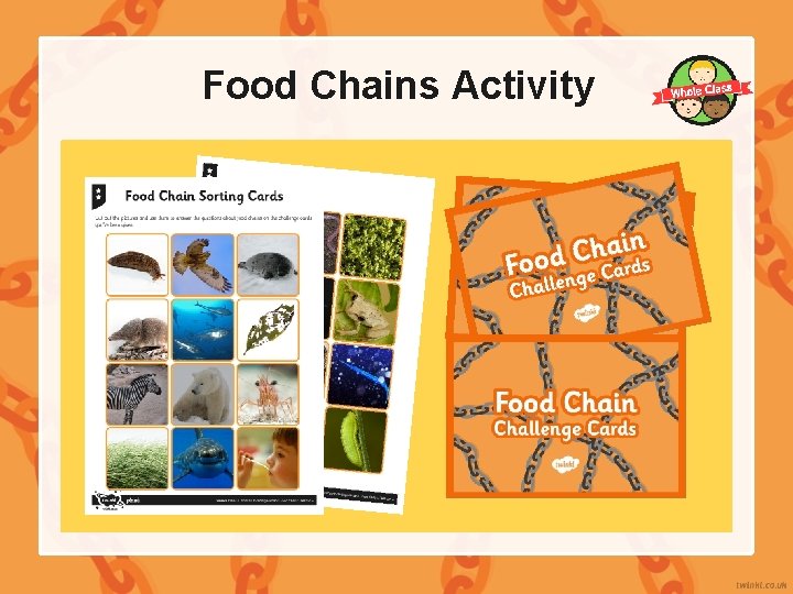 Science Animals Including Humans Year One Science Year