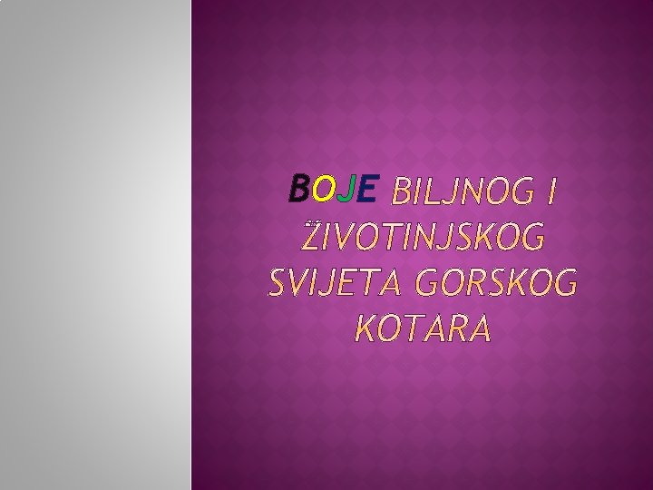 BOJE OSNOVNA KOLA SKRAD Izradile uenice 8 razreda