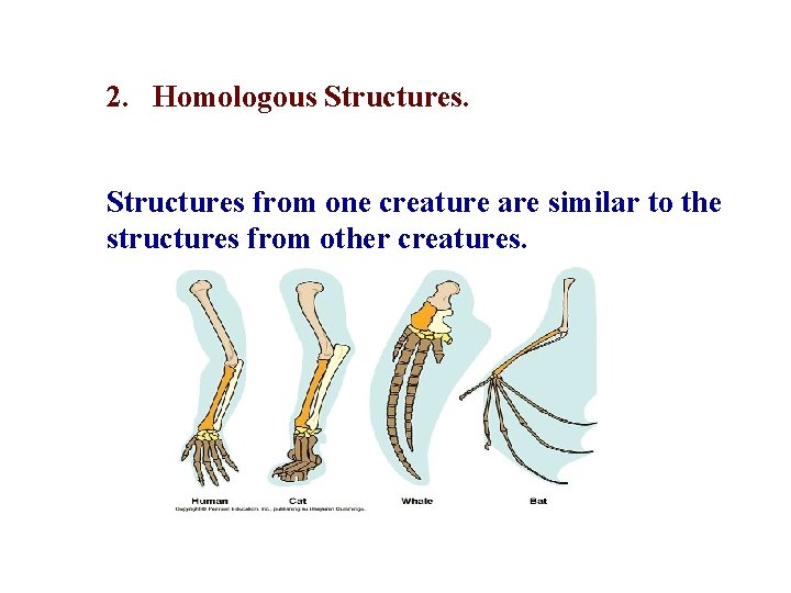 Objective 2 Biology Cell and Cell Structures Cells