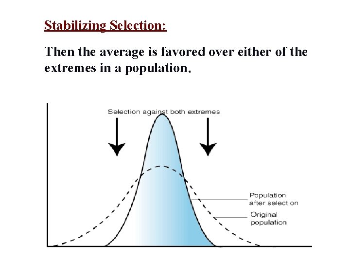 Objective 2 Biology Cell and Cell Structures Cells