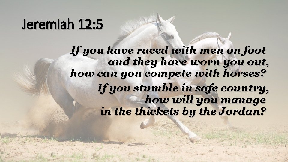 run with the horses Jeremiah 12 5 20