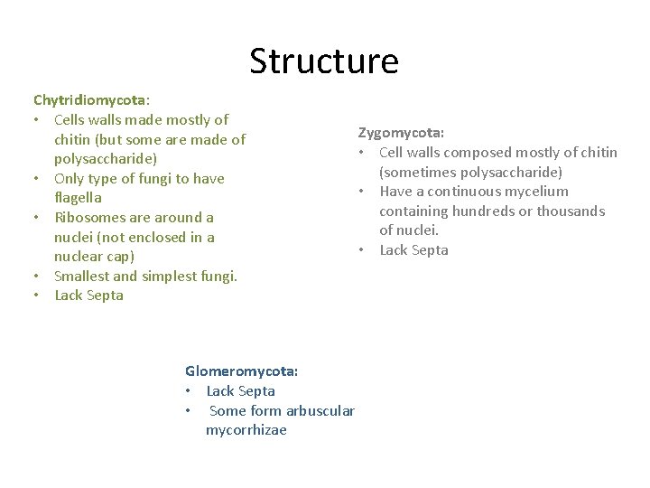 Fungi a Chytridiomycota Chytrids b Zygomycota Molds c