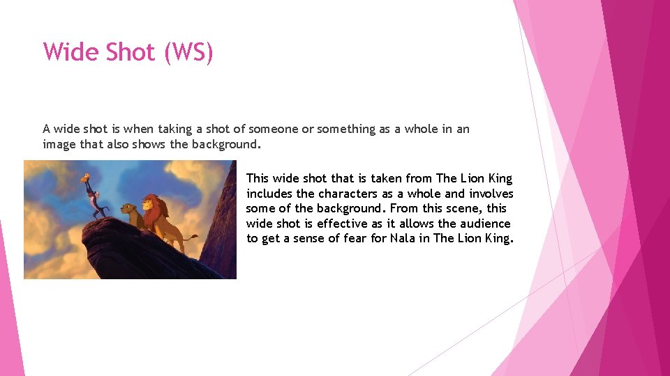 Language in film week 10 Stephanie Banerjee Extreme