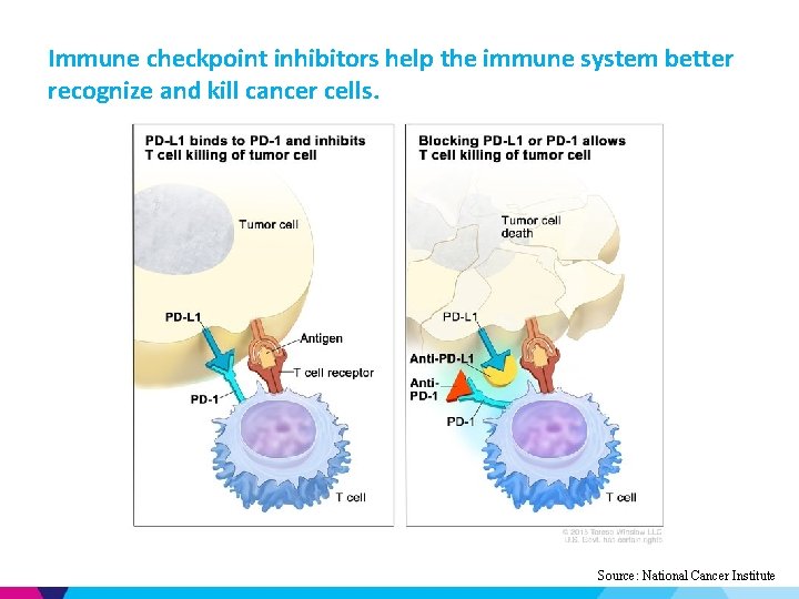 KEYNOTE024 Pembrolizumab vs Chemotherapy for PDL 1 Positive