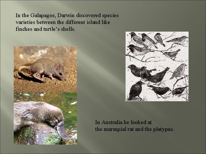 Charles Darwin Exhibition in the Science House of