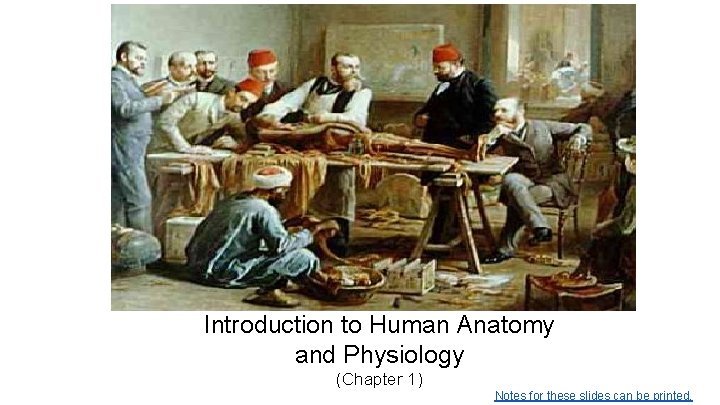 Introduction to Human Anatomy and Physiology Chapter 1