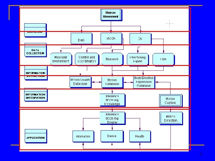 Human Body Movement Analysis Decoding the Movement and