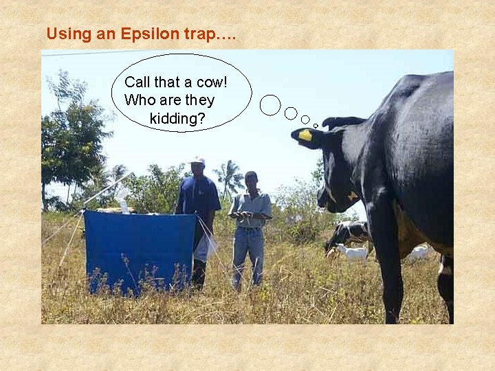 Using an Epsilon trap Call that a cow