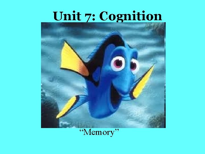 Unit 7 Cognition Memory Memory To a psychologist