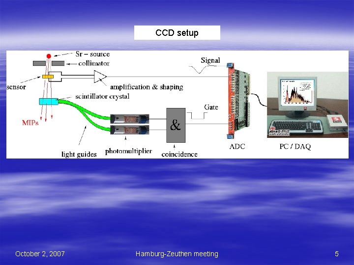 Radiation Hardness of Sensor Materials for Beam Cal