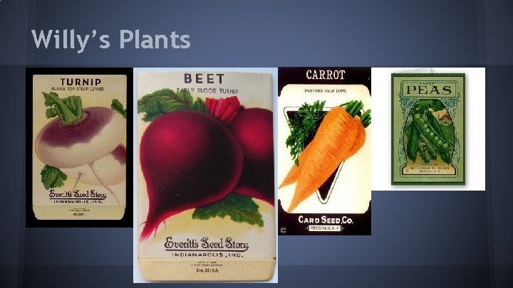 Death of a Salesman Dramaturgy By Mariah Scott