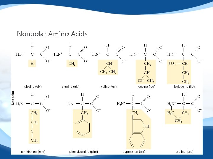 The Chemistry of Life Proteins Ms Richardson SBI