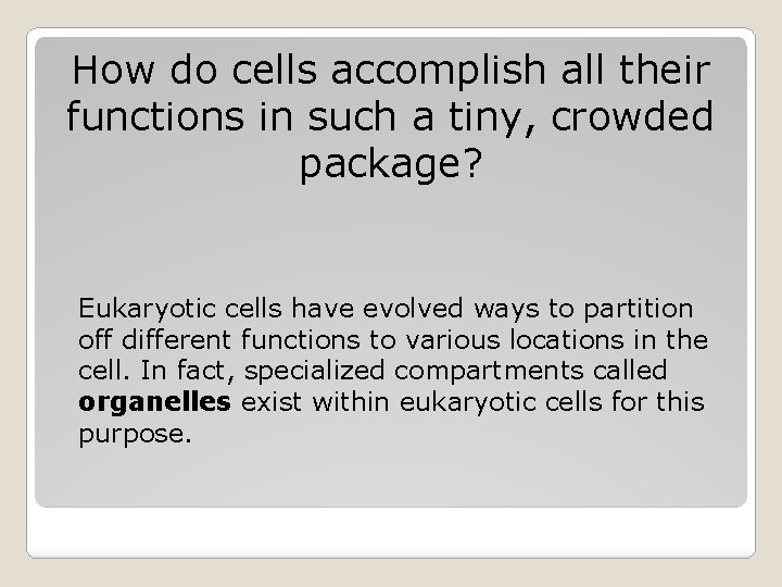 CELL BIOLOGY KEY WORDS cell cell membrane prokaryote