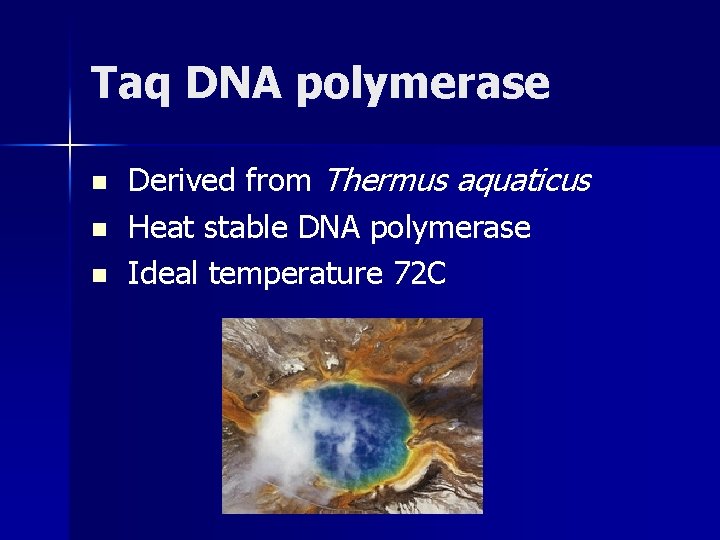 Polymerase Chain Reaction PCR Kabi Neupane Ph D