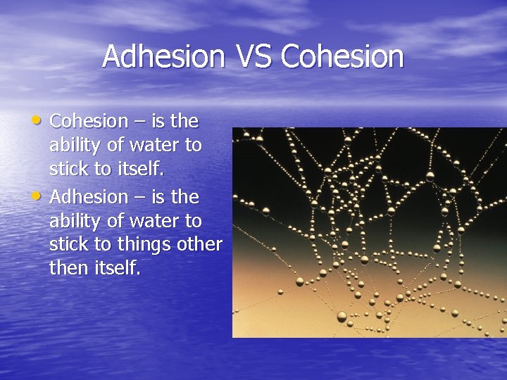 Water The Universal Solvent Adhesion VS Cohesion Cohesion