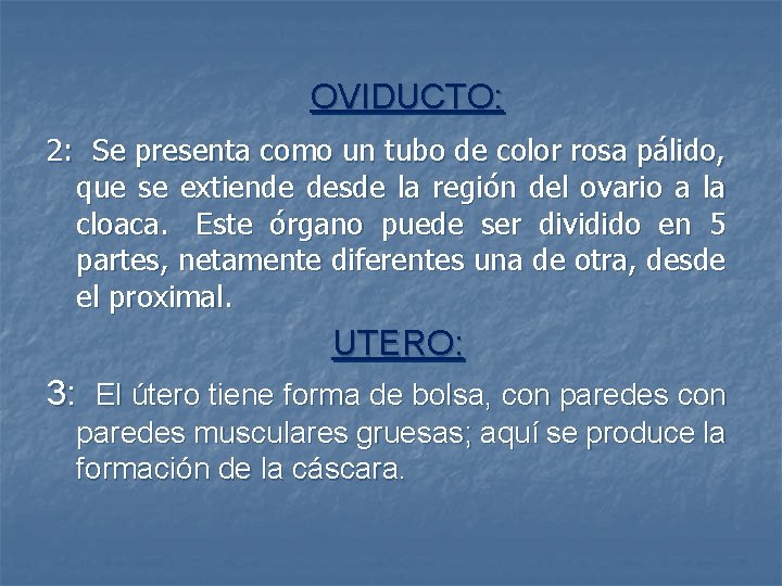 APARATO GENITAL DE LAS AVES APARATO GENITAL DE