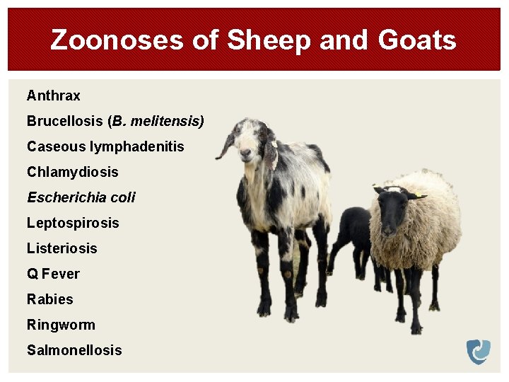 Zoonoses of Sheep and Goats What are Zoonoses