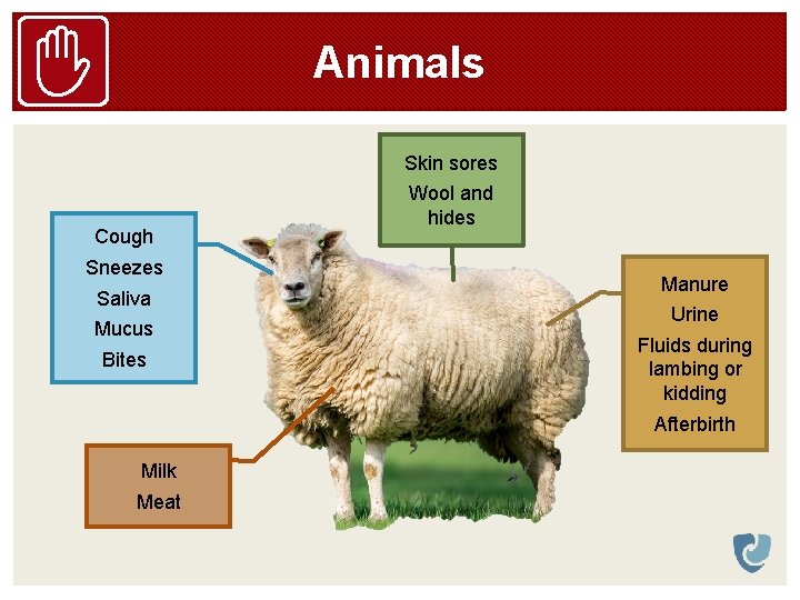 Zoonoses of Sheep and Goats What are Zoonoses