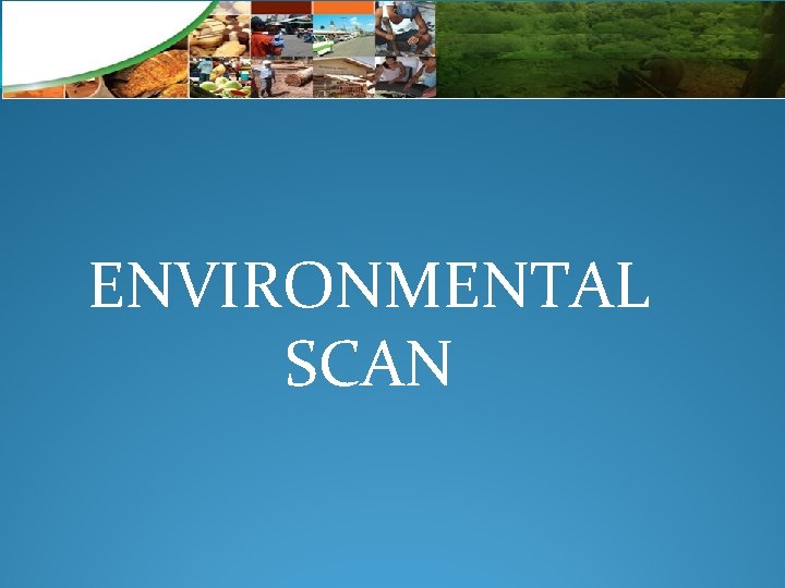 ENVIRONMENTAL SCAN STRUCTURE OF THE PRESENTATION Human Landscape