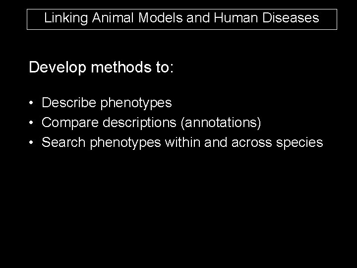 Linking Animal Models and Human Diseases Supported by