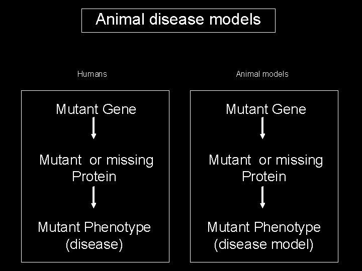 Linking Animal Models and Human Diseases Supported by