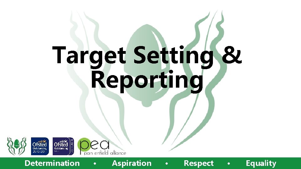 Target Setting Reporting Determination Aspiration Respect Equality ...