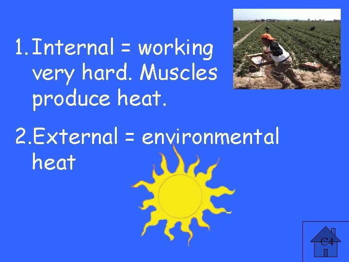 Heat Stress Risk Factors Heat Illnesses Treatment Causes