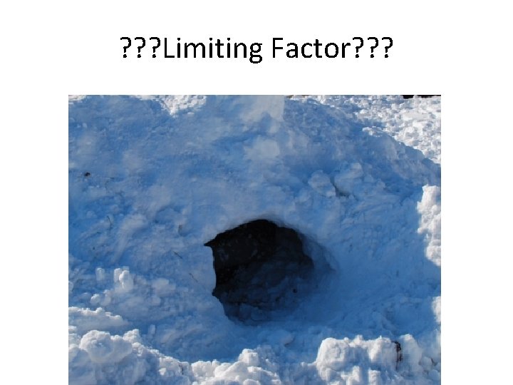 Food Chains Food Webs As you study more