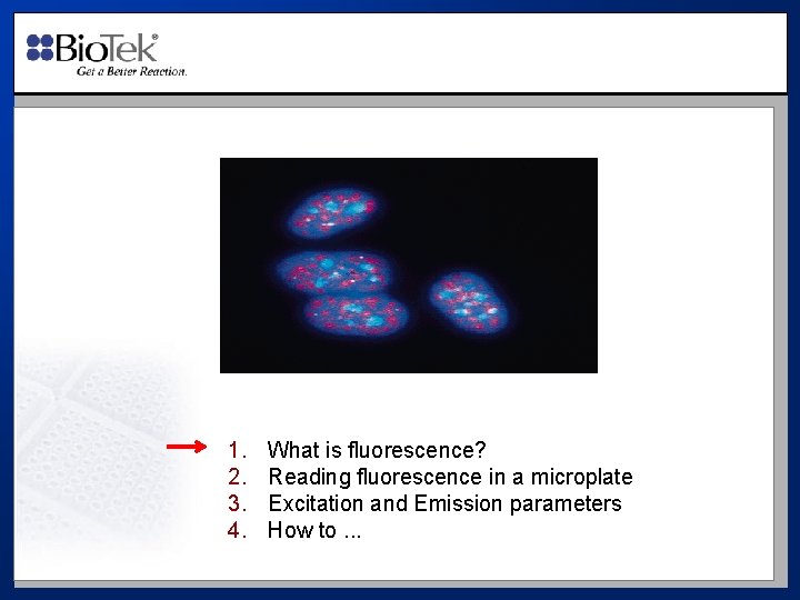Reading Fluorescence with a Microplate Reader Bio Tek