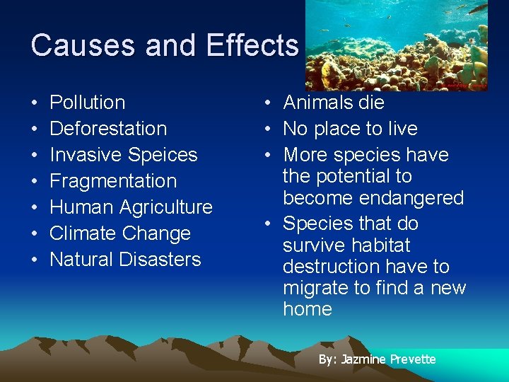 How Humans Impact the Environment and Ways You
