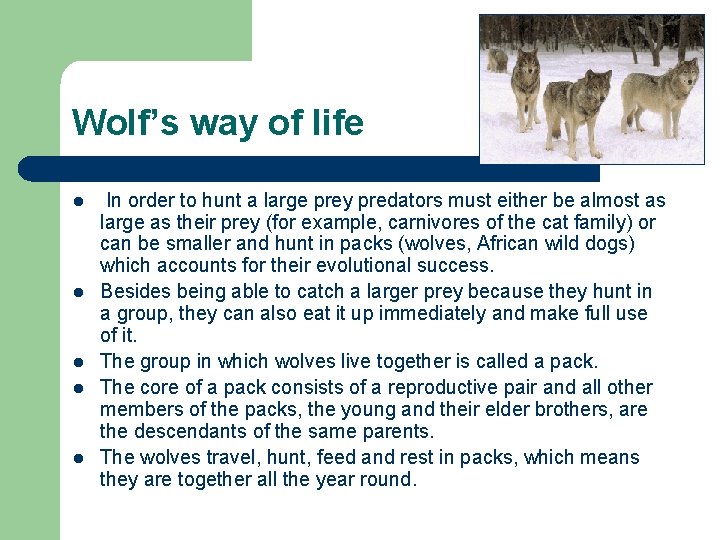 Protected species WOLVES in the world in Croatia