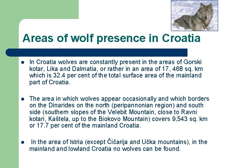 Protected species WOLVES in the world in Croatia