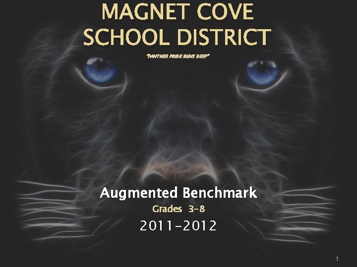 MAGNET COVE SCHOOL DISTRICT PANTHER PRIDE RUNS DEEP