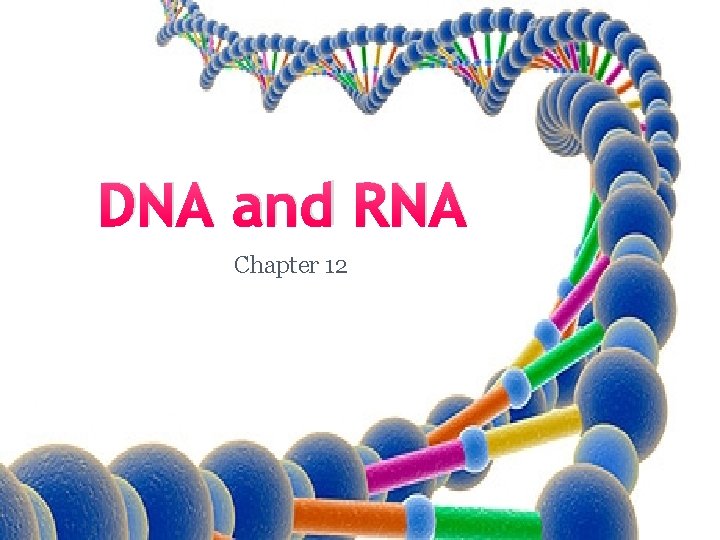 DNA and RNA Chapter 12 Frederick Griffith 1928