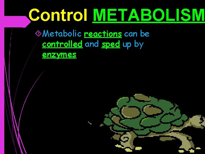 Control METABOLISM Metabolic reactions can be controlled and