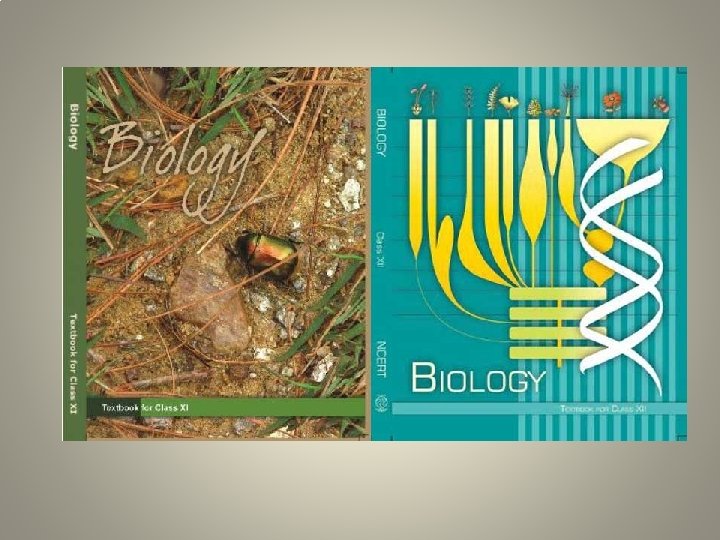 BIOLOGY COURSE STRUCTURE Unit Title Marks 1 Diversity