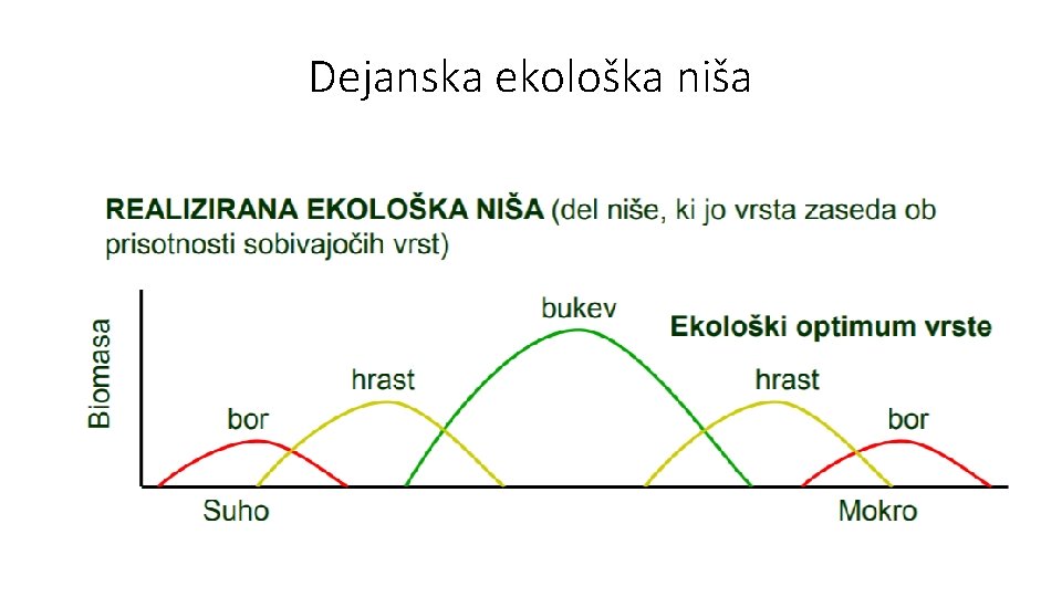 Okoljski problemi Thomas Robert Malthus 1798 Eksponentni model