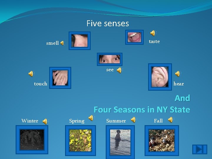 Five senses taste smell see touch hear And