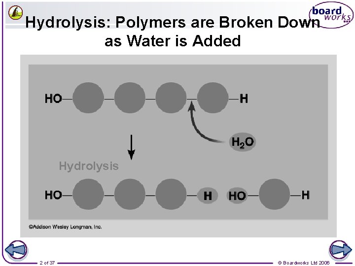Breaking Polymers Hydrolysis Reactions Degradation of polymers into
