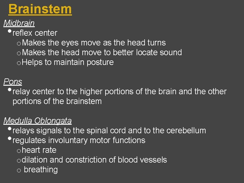 The Human Brain General Information about the Brain