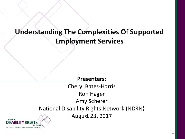 Understanding The Complexities Of Supported Employment Services Presenters