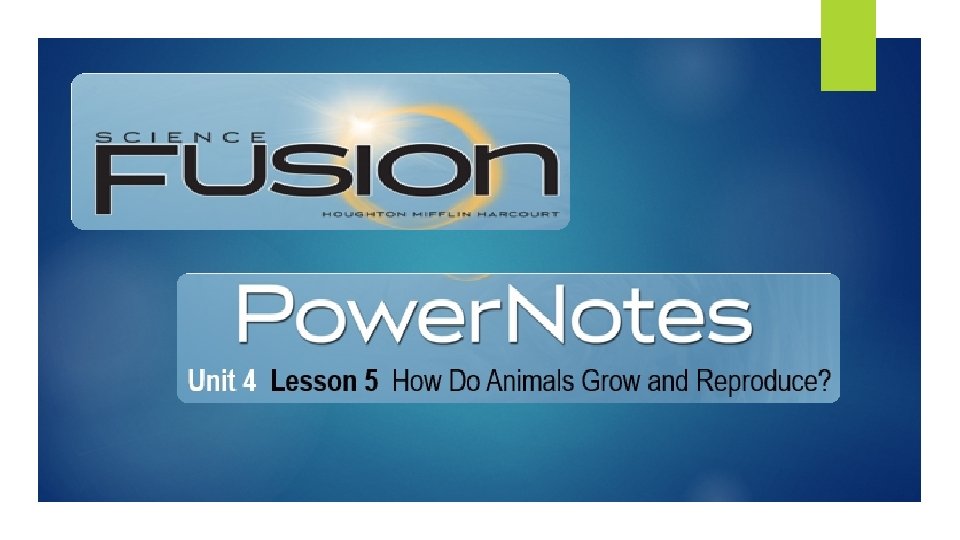 Unit 4 Lesson 5 How Do Animals Grow