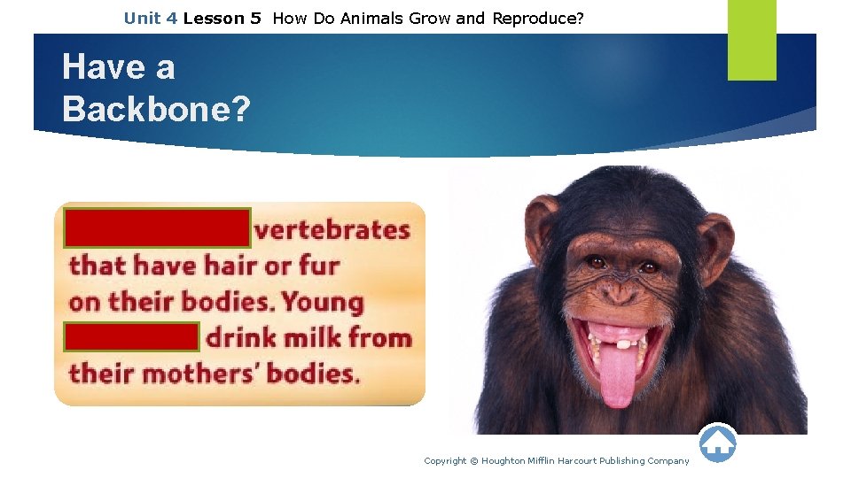 Unit 4 Lesson 5 How Do Animals Grow