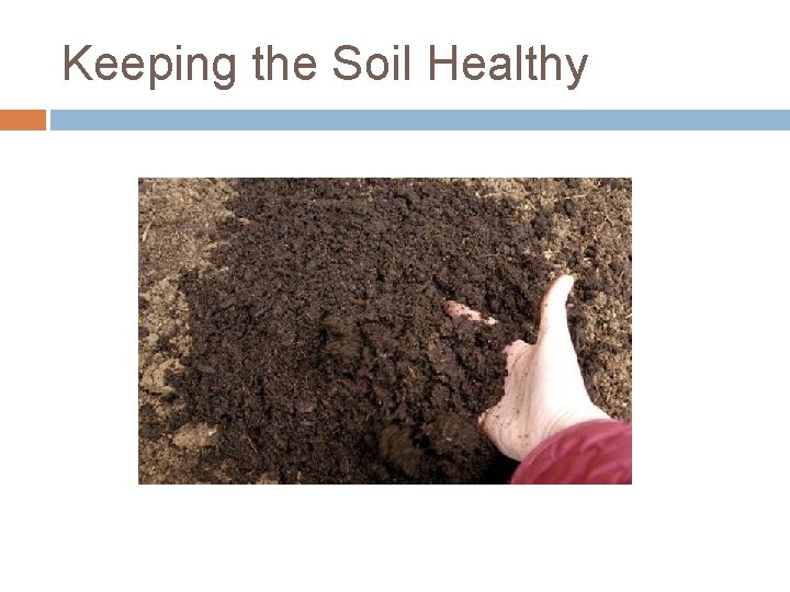 Keeping the Soil Healthy What does a plant