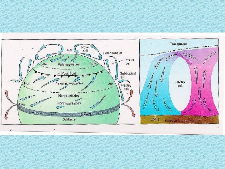 Atmospheric circulation Features of the model At boundaries