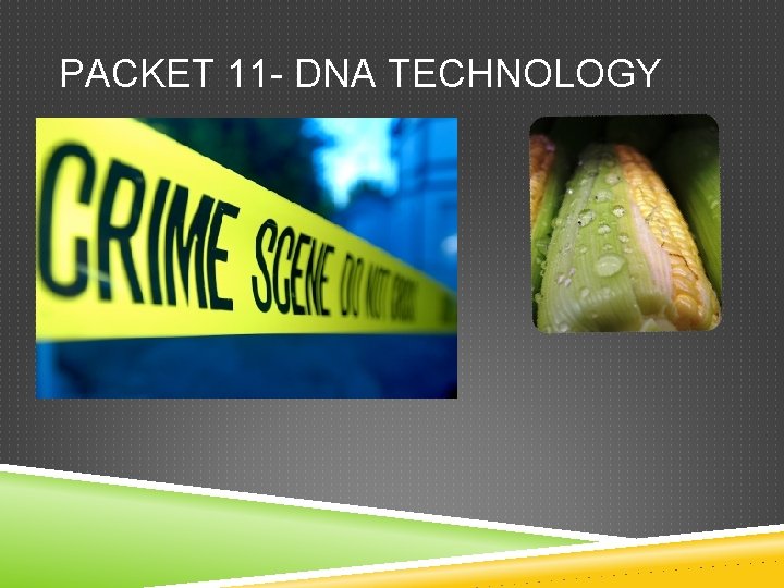 PACKET 11 DNA TECHNOLOGY HOW CAN WE APPLY