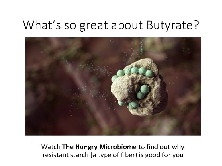 The Microbiome Food Fiber and Fitness Lets do