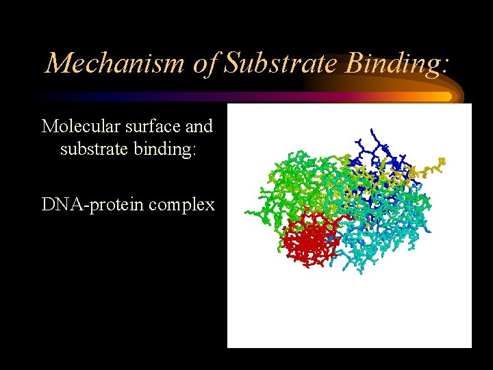 BL 5203 Molecular Recognition Interaction Section D Molecular
