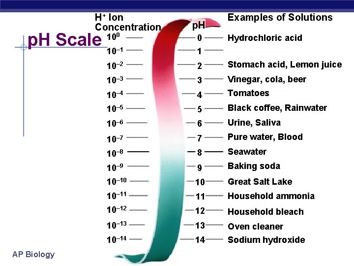 Chemistry of Life Properties of Water AP Biology