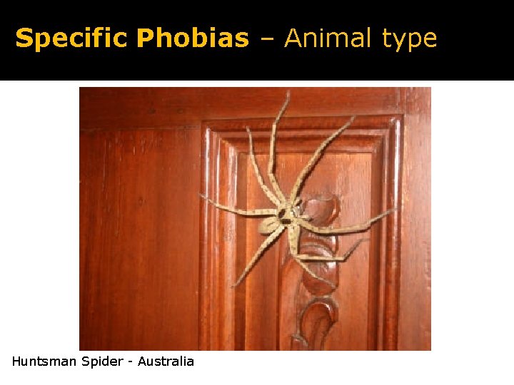 Psychopathology Behavioural Emotional and Cognitive characteristics of ...